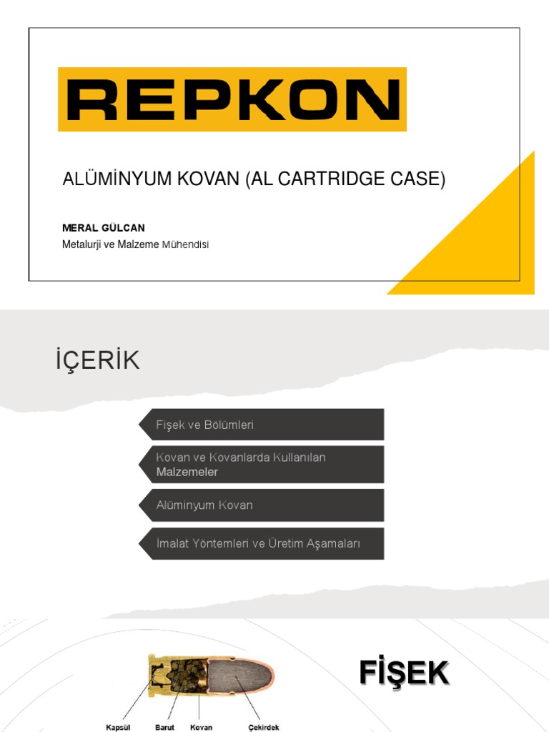 Repkon Sunum | PDF