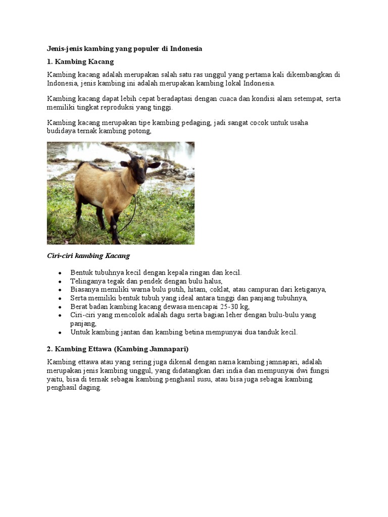 Jenis-Jenis Kambing | PDF