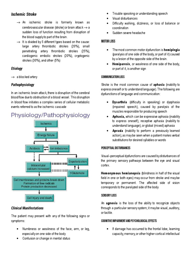 Ischemic Stroke | PDF | Stroke | Ischemia