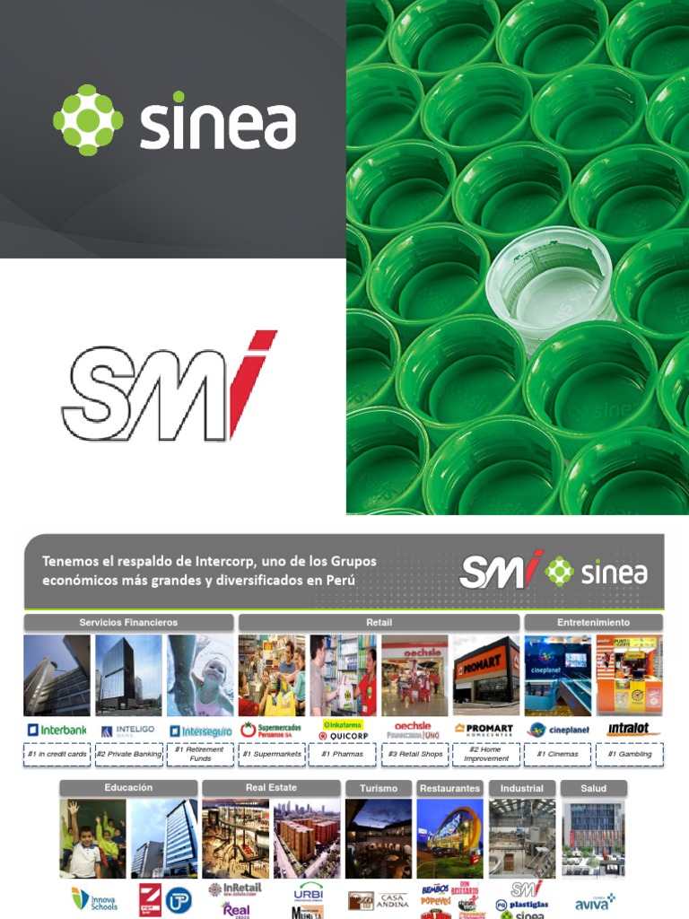 Sinea: Líder en envases y reciclaje | PDF