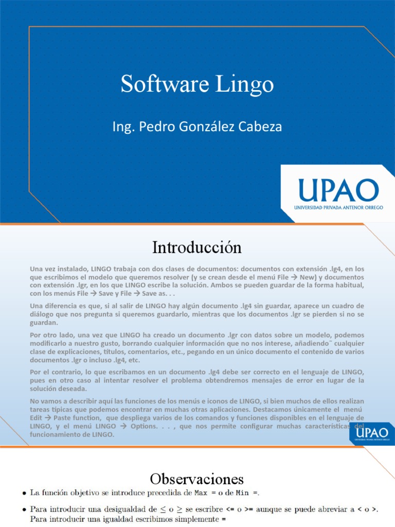 S 03 Software Lingo | PDF