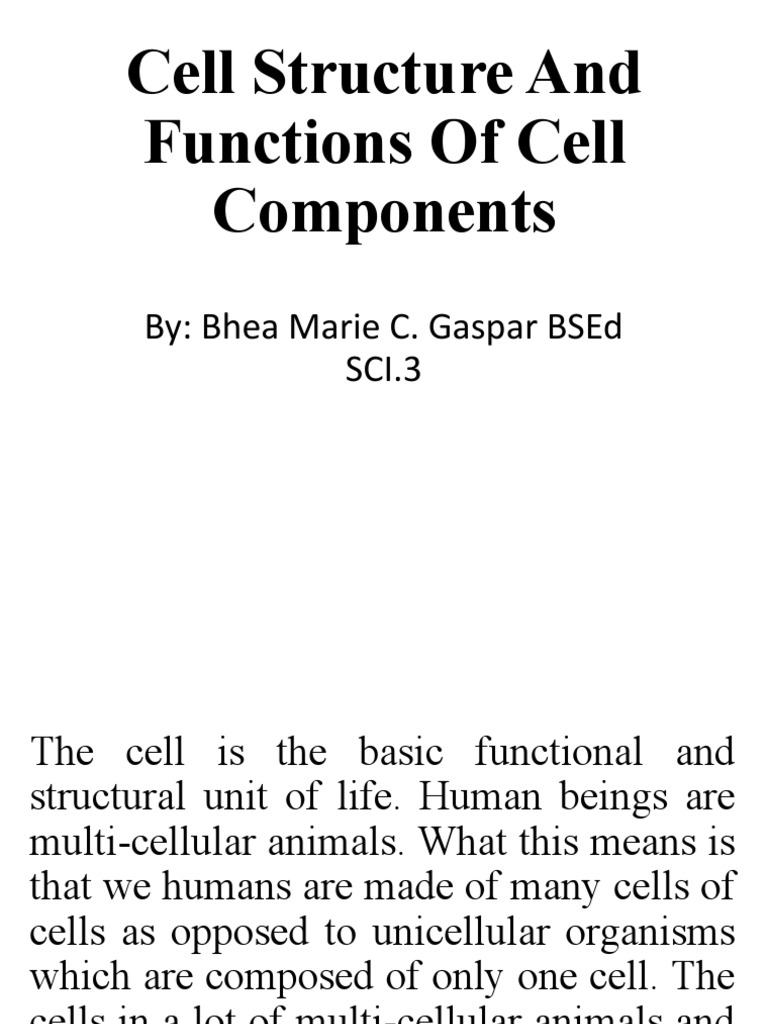 Cell Structure-WPS Office | PDF | Cell (Biology) | Endoplasmic Reticulum