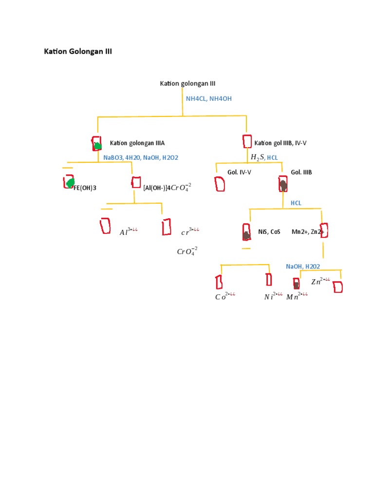 Kation Golongan III | PDF