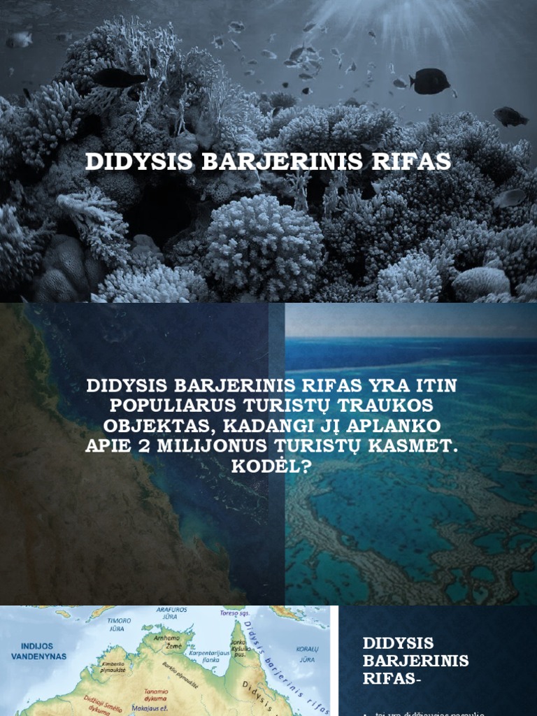 Didysis Barjerinis Rifas. Geografijos Projektas. | PDF