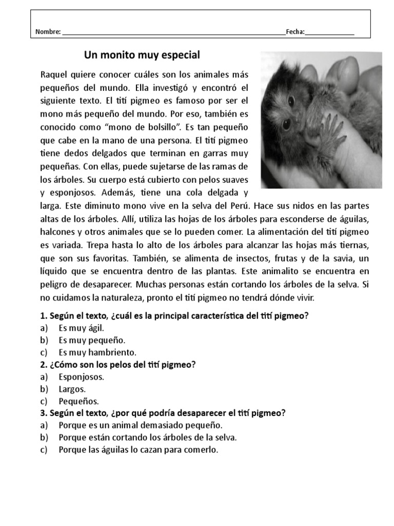 Un Monito Muy Especial | PDF | Hogar, jardinería y bricolaje | Ciencia y matemáticas