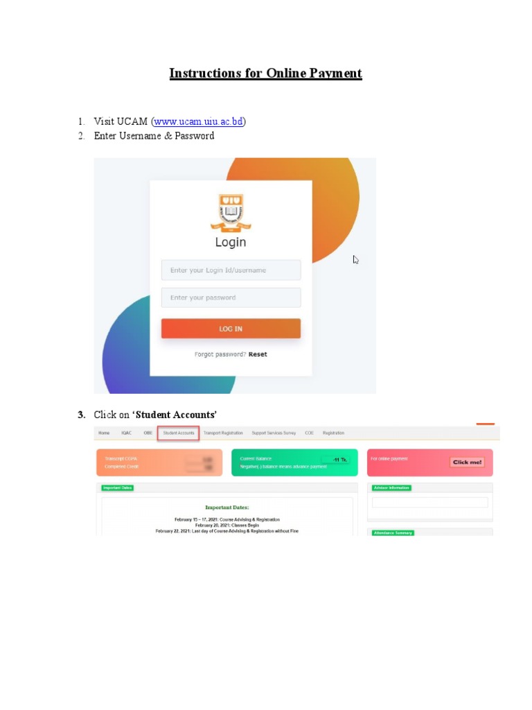 Online Payment Instructions for Students | PDF