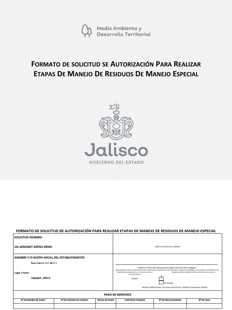 Formato Etapas de Manejo Rme 1 | PDF | Residuos | Materiales