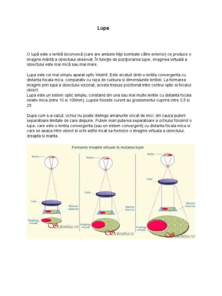 GORNESCU-CATINAS DAVID ANDREI - Tema Pentru Acasa | PDF