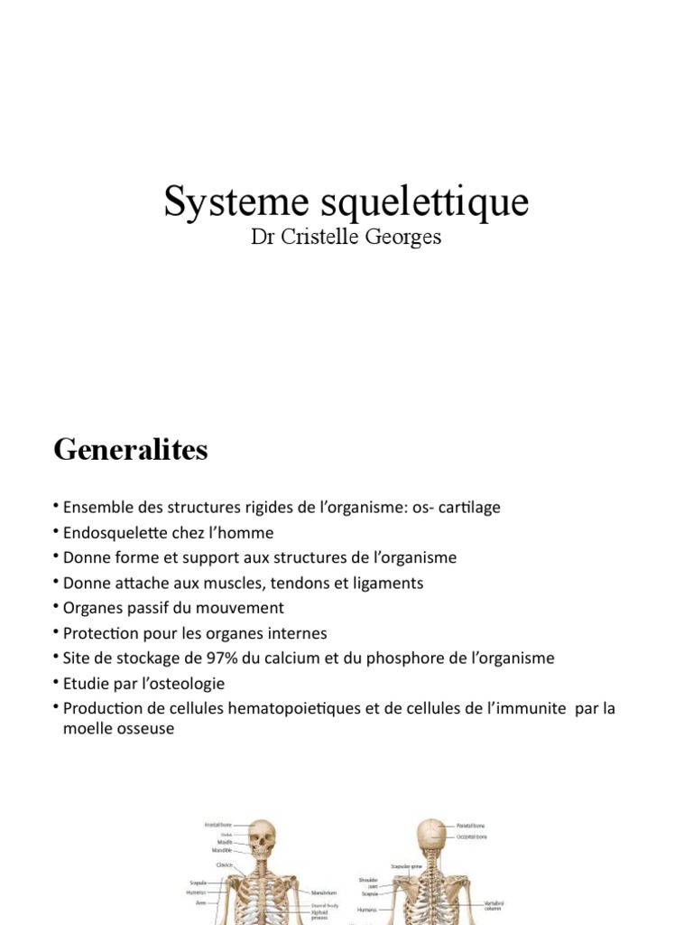 Systeme Squelettique (Autosaved) | PDF | Articulation (anatomie ...