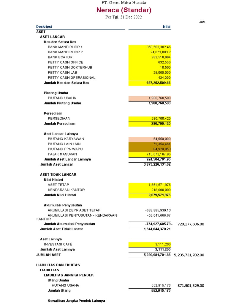 Neraca Standar Dokterhub 230216164346 | PDF
