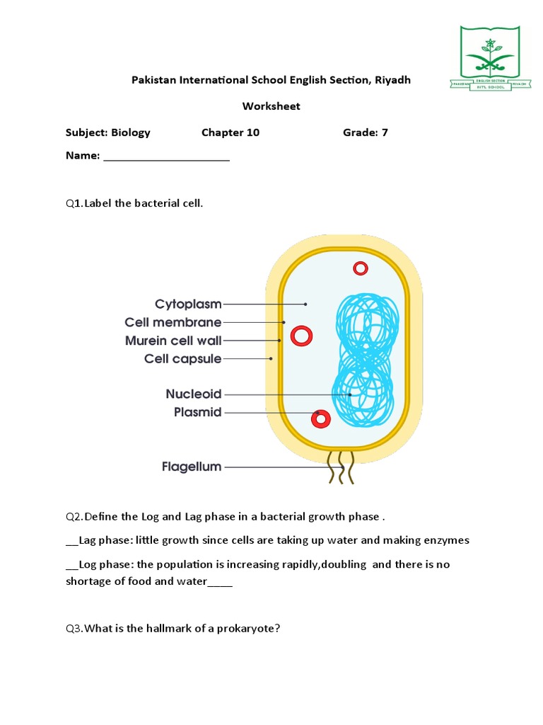 Pakistan International School English Section, Riyadh Worksheet Subject ...