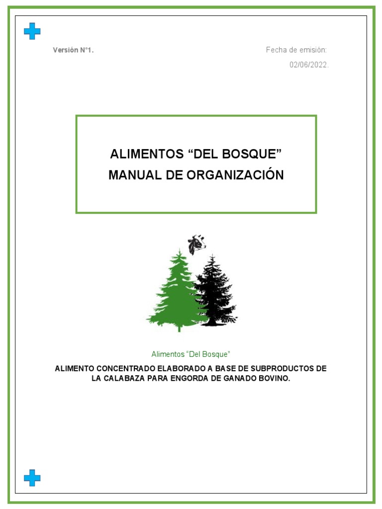 Manual de Organización | PDF | Marketing | Calidad (comercial)