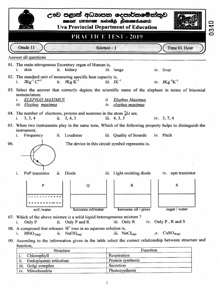G11 - Third Term Examination (2019) - Uva Provincial Department of Education | PDF