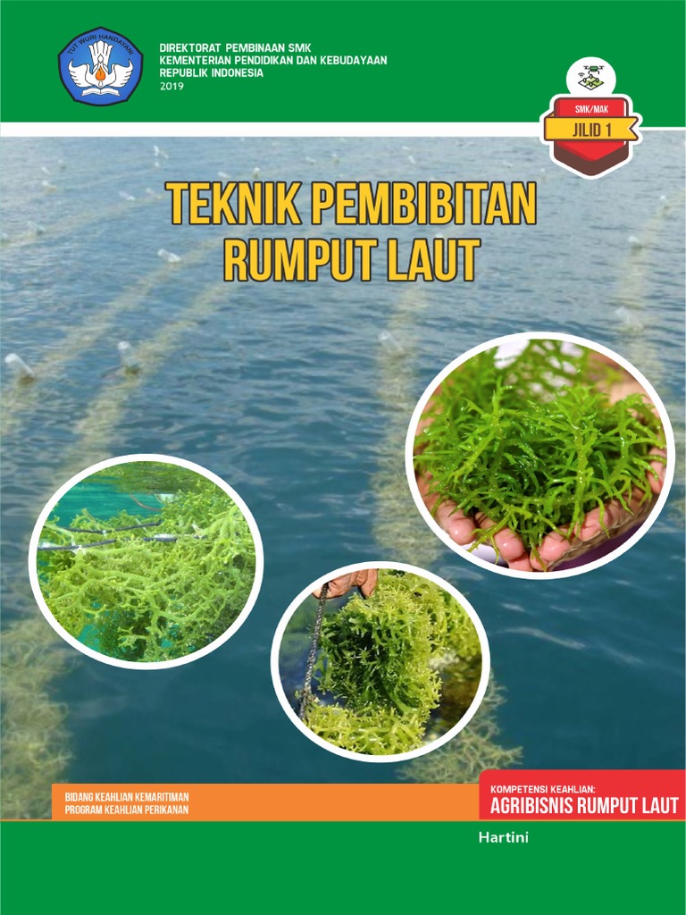 Teknik Pembibitan Rumput Laut | PDF