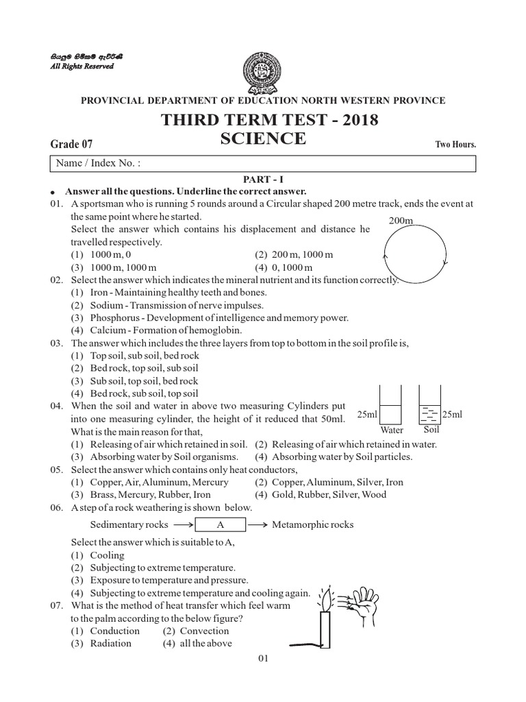 Grade 7 Science Test Questions and Answers | PDF | Energy Development ...
