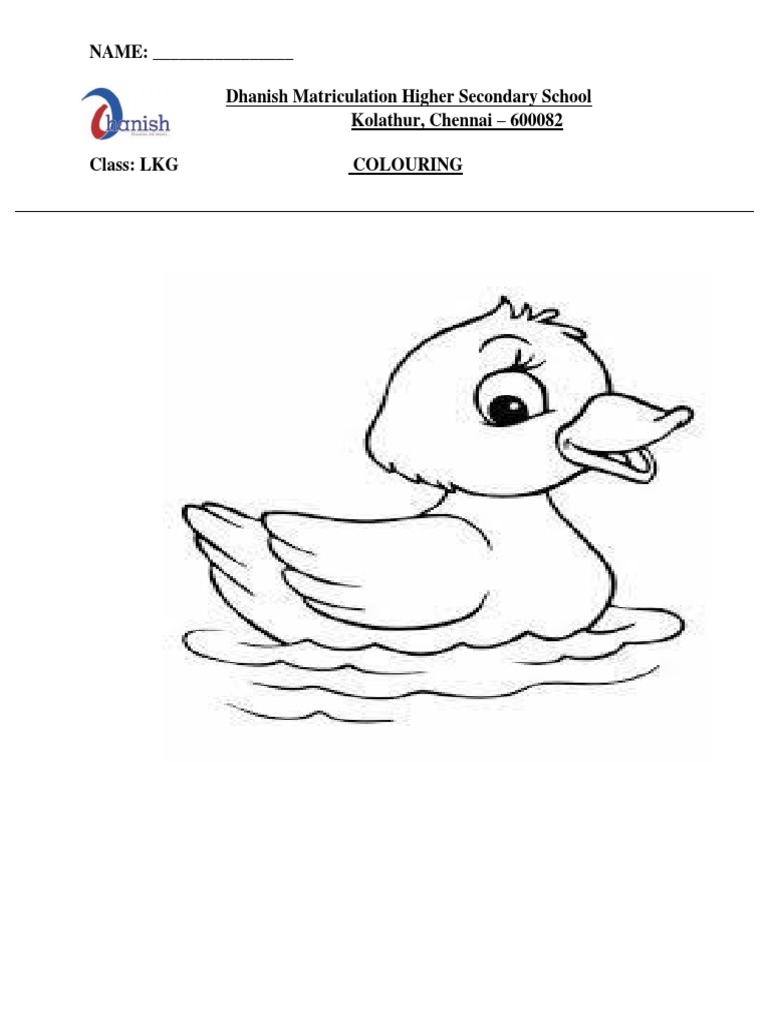 LKG Colouring Worksheets for Students | PDF