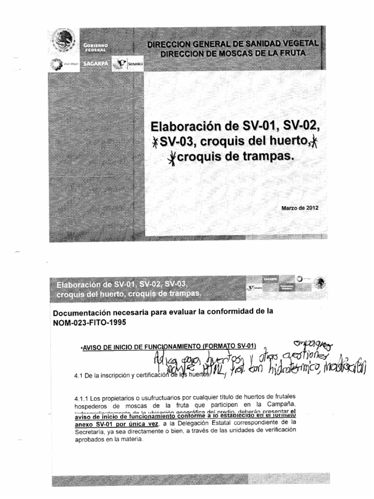 P9 Elaboracion de sv-01, sv-02, sv-03, Croquis Del Huerto, Croquis de Trampas | PDF