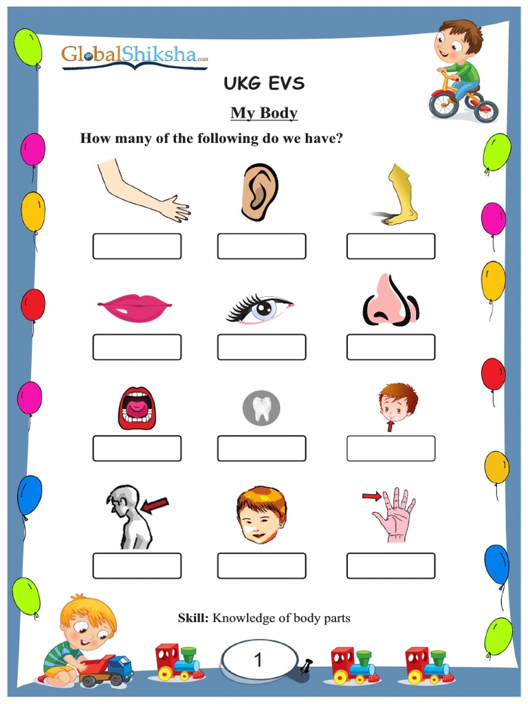 Ukg Evs: My Body | PDF