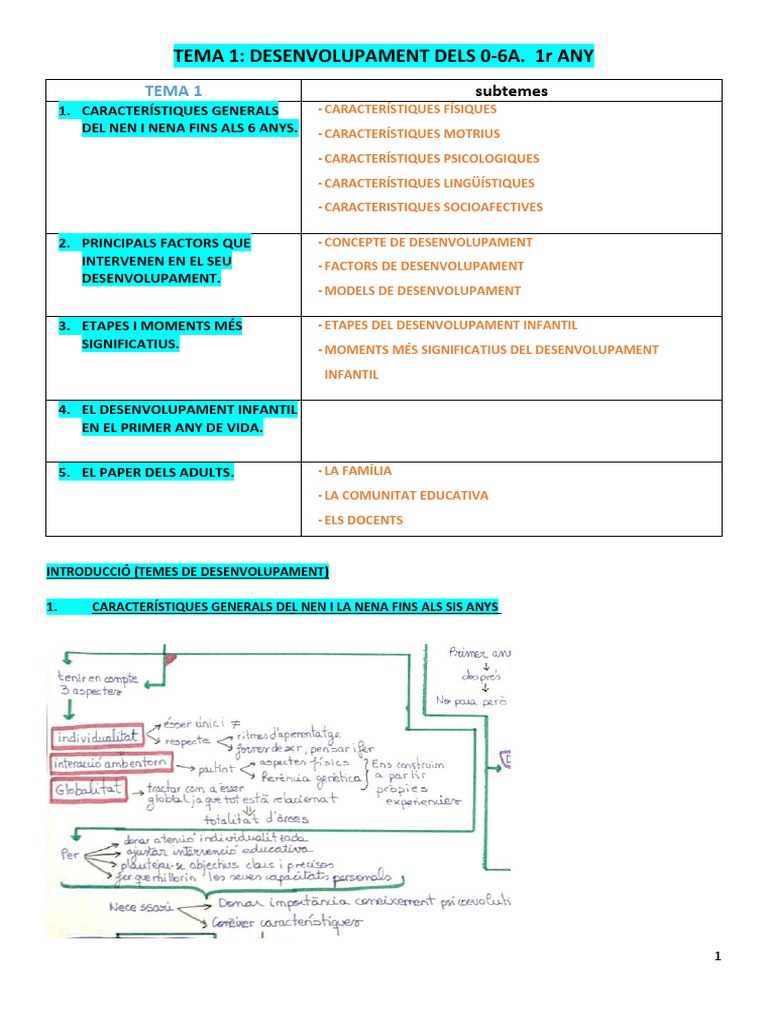 TEMA 1 Resum - Desen. Dels 0-6. 1r Any | PDF