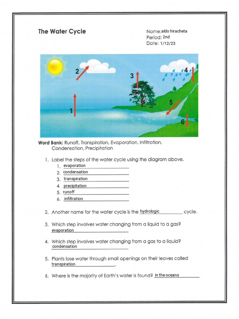 Kami Export - Aldo Hiracheta - Biogeochemical Cycles | PDF | Carbon ...