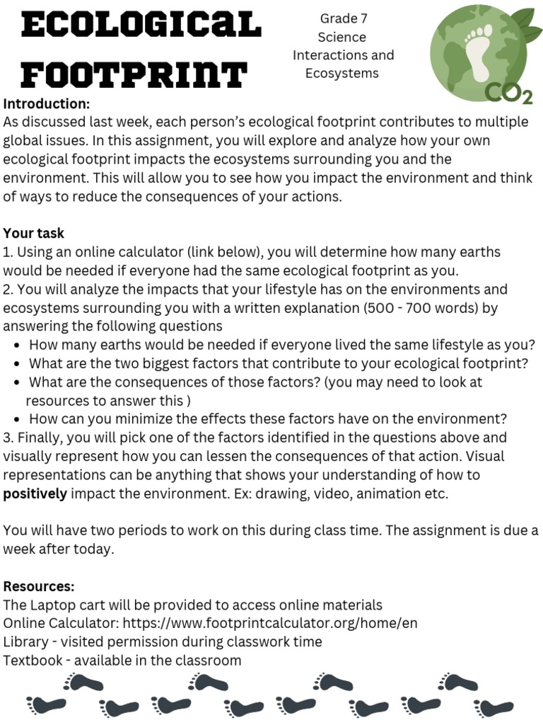 Carbon Footprint Assignment - Mcmurray | PDF | Ecology | Natural Environment