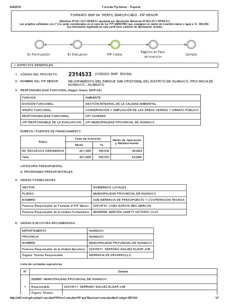 Ficha Snip | PDF | Oferta (economía) | Ciencias económicas