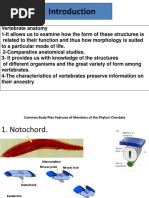 Urochordata Classification Overview | PDF | Chordates