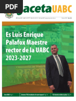 ¿Qué Es El AGEB? | PDF