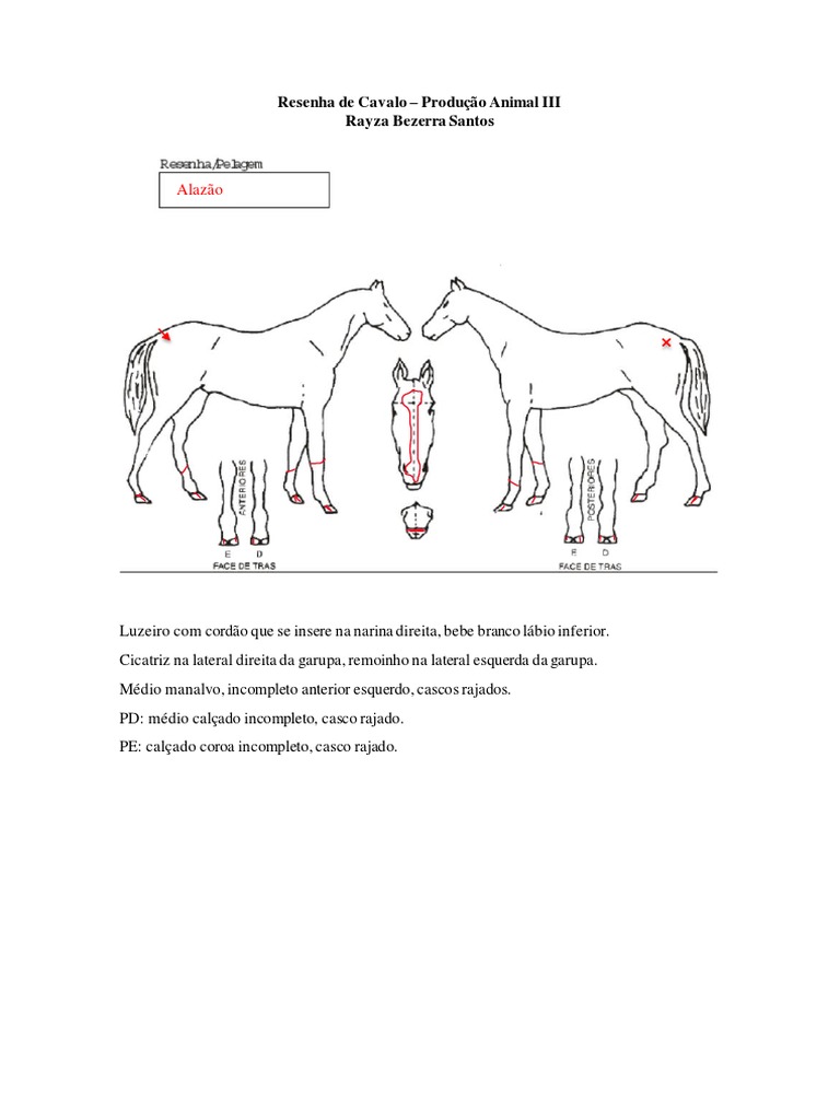 Resenha - Rayza Bezerra Santos | PDF