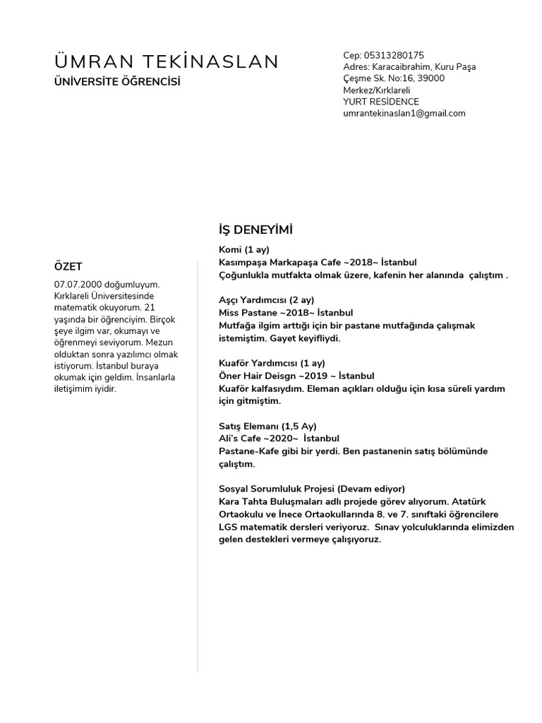 Ümran CV | PDF