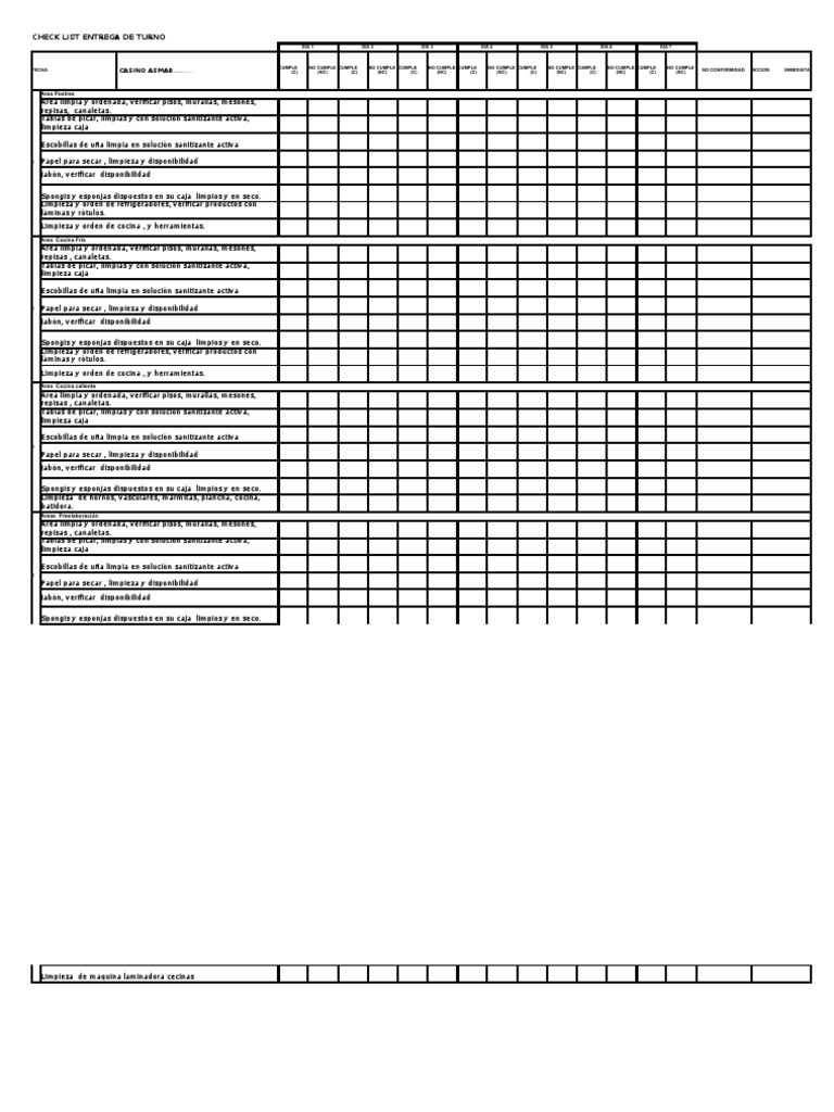 Check List Entrega Turno