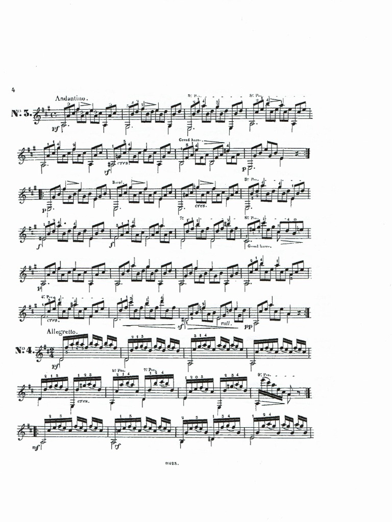 Estudio 4 Carcassi | PDF