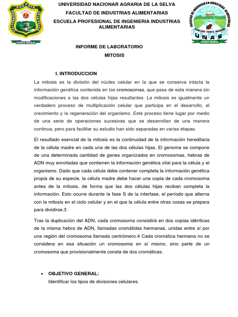 Informe Mitosis | PDF | Mitosis | Mitosis Informe Mitosis | PDF | Mitosis | Mitosis