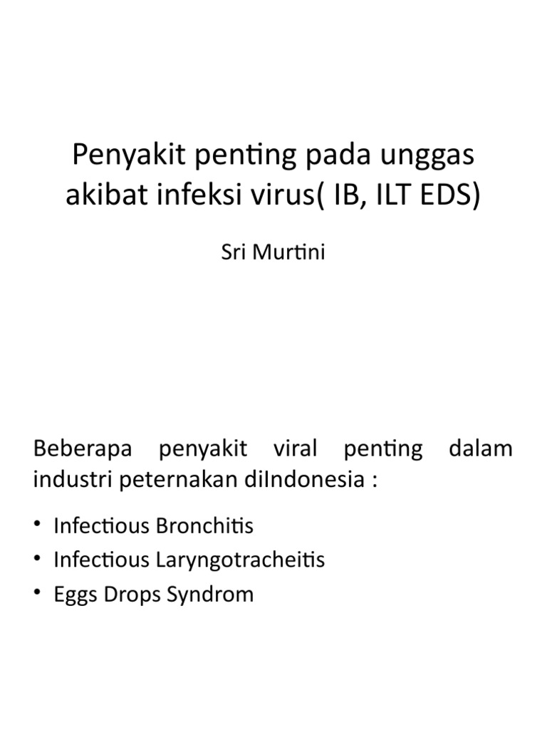 Penyakit Penting Pada Unggas Akibat Infeksi Virus IB, ILT, EDS | PDF