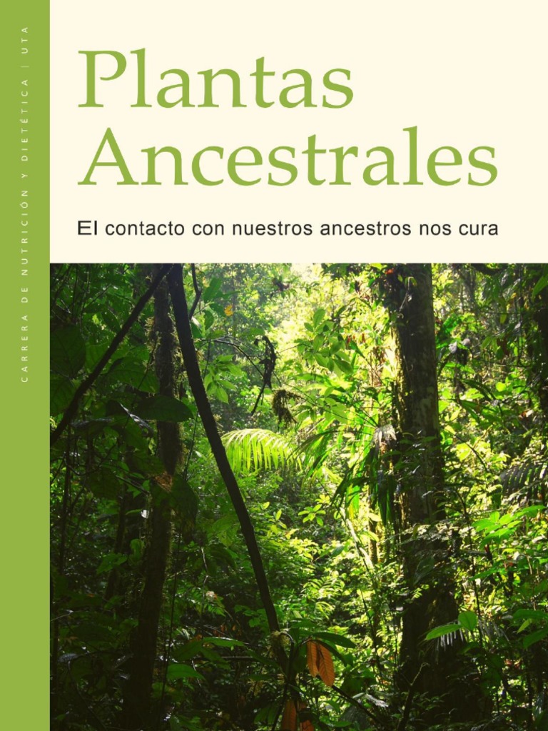 Plantas Ancestrales El Contacto Con Nuestros Ancestros Nos Cura | PDF