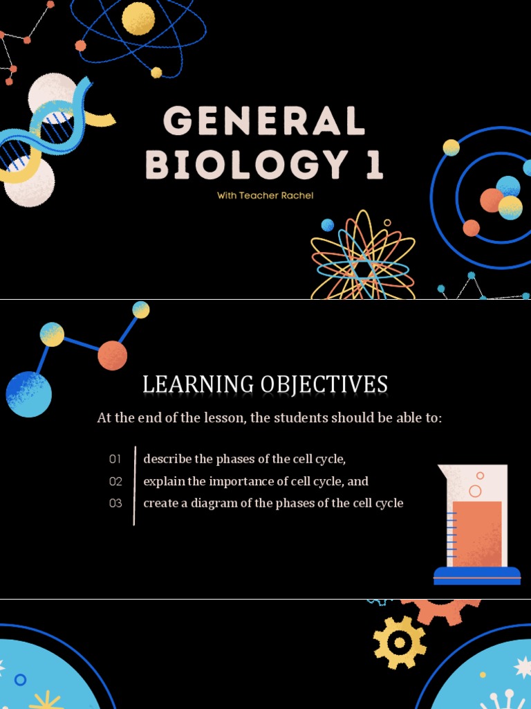 Phases of The Cell Cycle | PDF | Mitosis | Cell Cycle