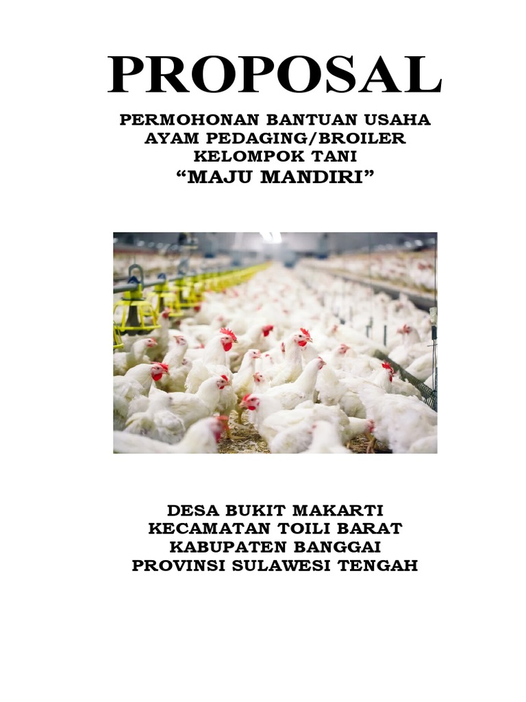 PROPOSAL USAHA AYAM PEDAGING Docx | PDF
