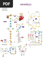 Rutas Metabolicas | PDF | Metabolismo | Lípido