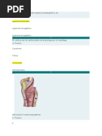 Cambios Modic Qué Son, Tipo y Diagnóstico InfoEspalda | PDF | Cirugía ...