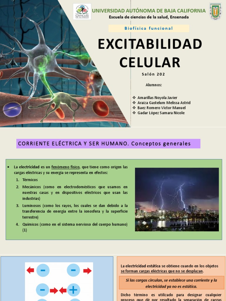 Excitabilidad Celular | PDF | Potencial de acción | Neurona