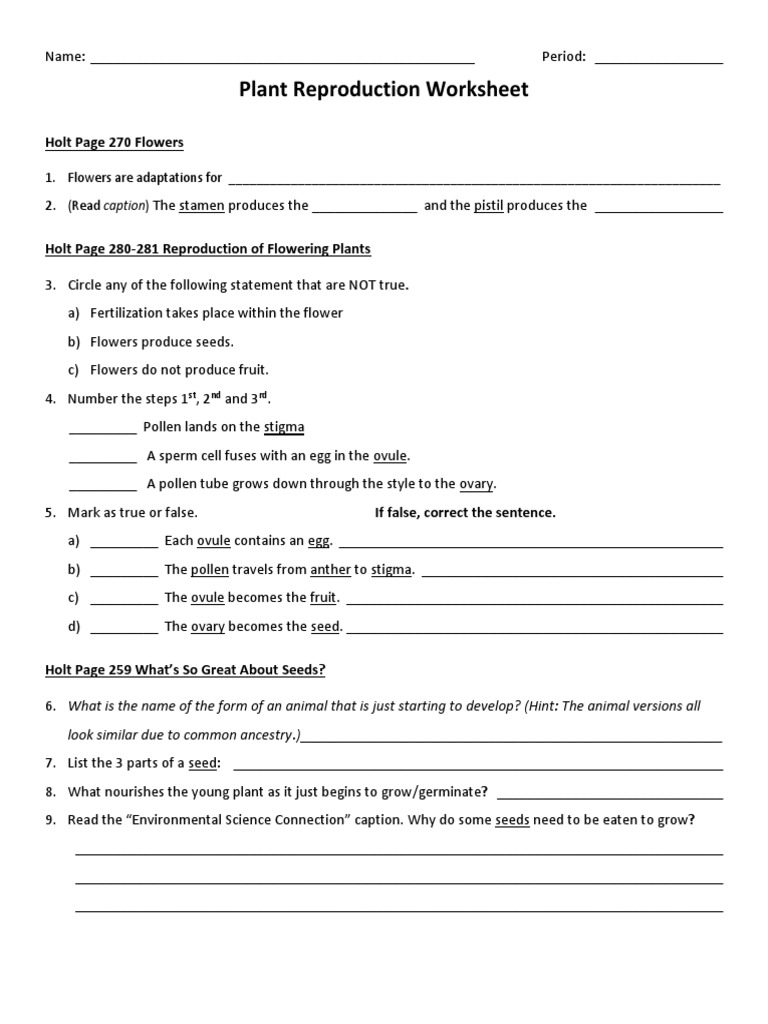 Plant Reproduction Worksheet for Grades 5-7 | PDF | Flowers | Seed