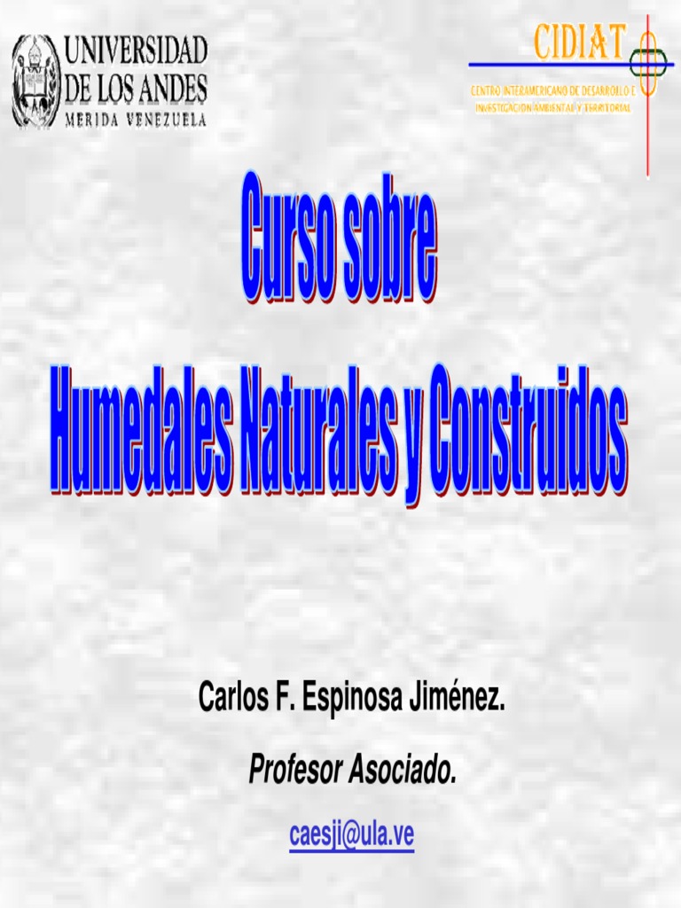 Ejercicios Humedales Construidos | PDF | Hidrología | Entorno natural