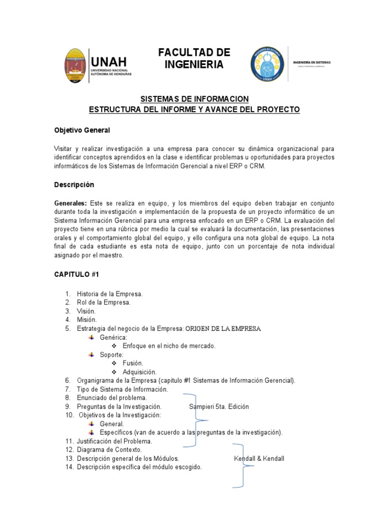Estructura Del Informe y Avance Del Proyecto | PDF | Planificación de recursos empresariales ...
