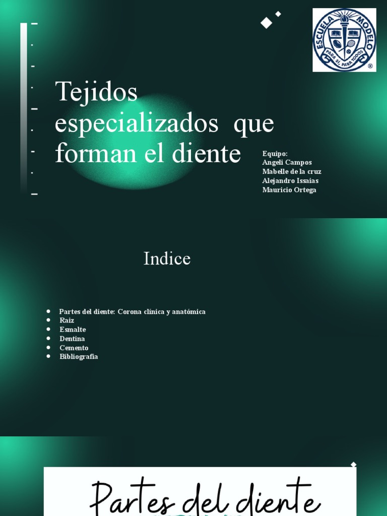 Basics of Ultrasound - Science Lesson For High School by Slidesgo | PDF ...