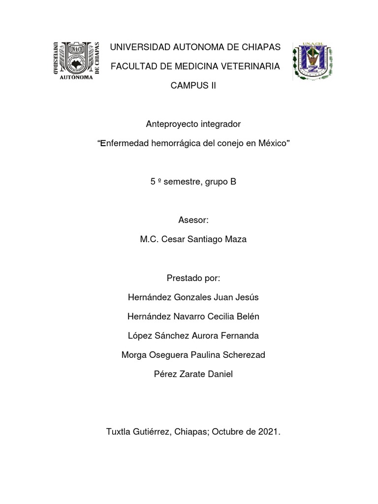 Api 5B 04 | PDF | Residuos | México