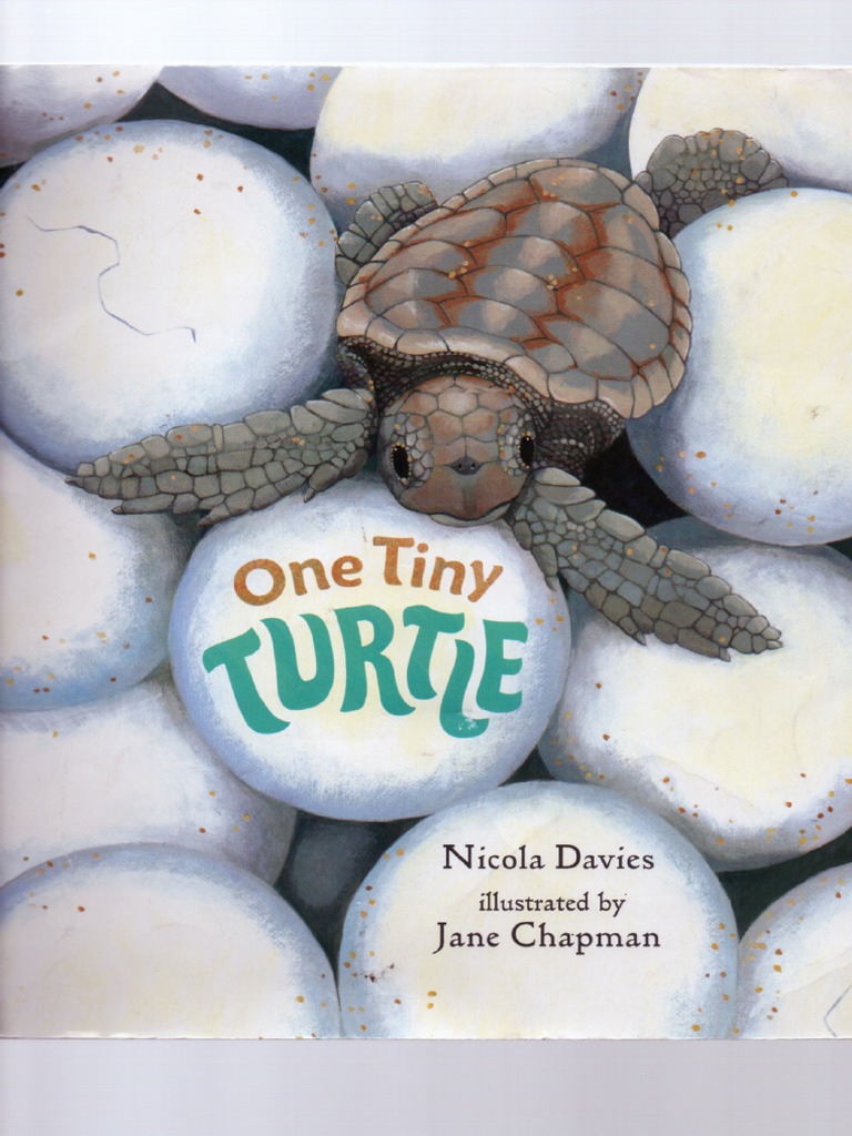 One Tiny Turtle | PDF