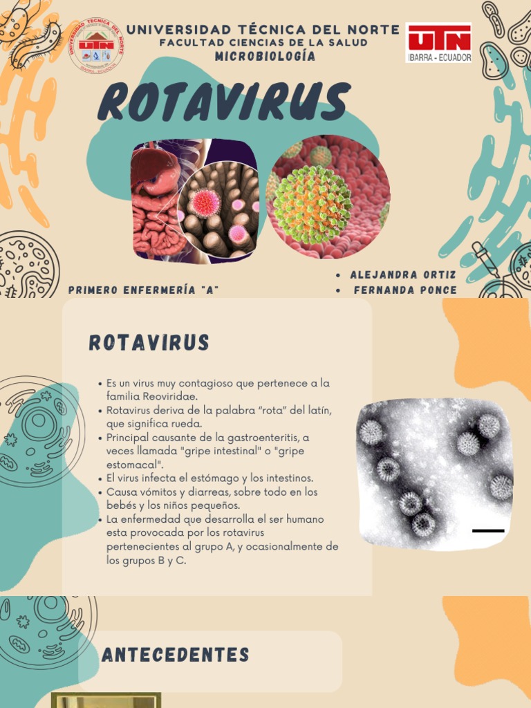 ROTAVIRUS | PDF | Diarrea | Microbiología