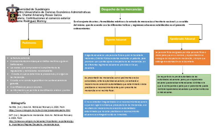Mapa Conceptual Tarea 3 Capitulo 2 Despacho Aduanero Control de Mercancías | PDF