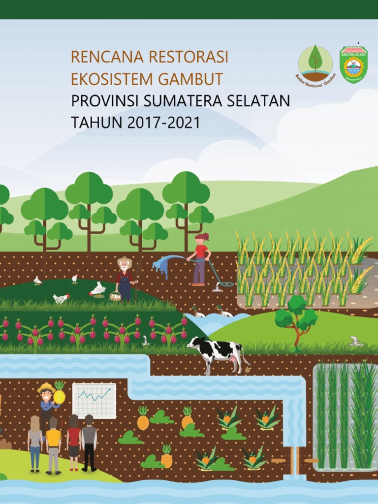 Rencana Restorasi Ekosistem Gambut RREG Sumatera Selatan Tahun 2017 ...