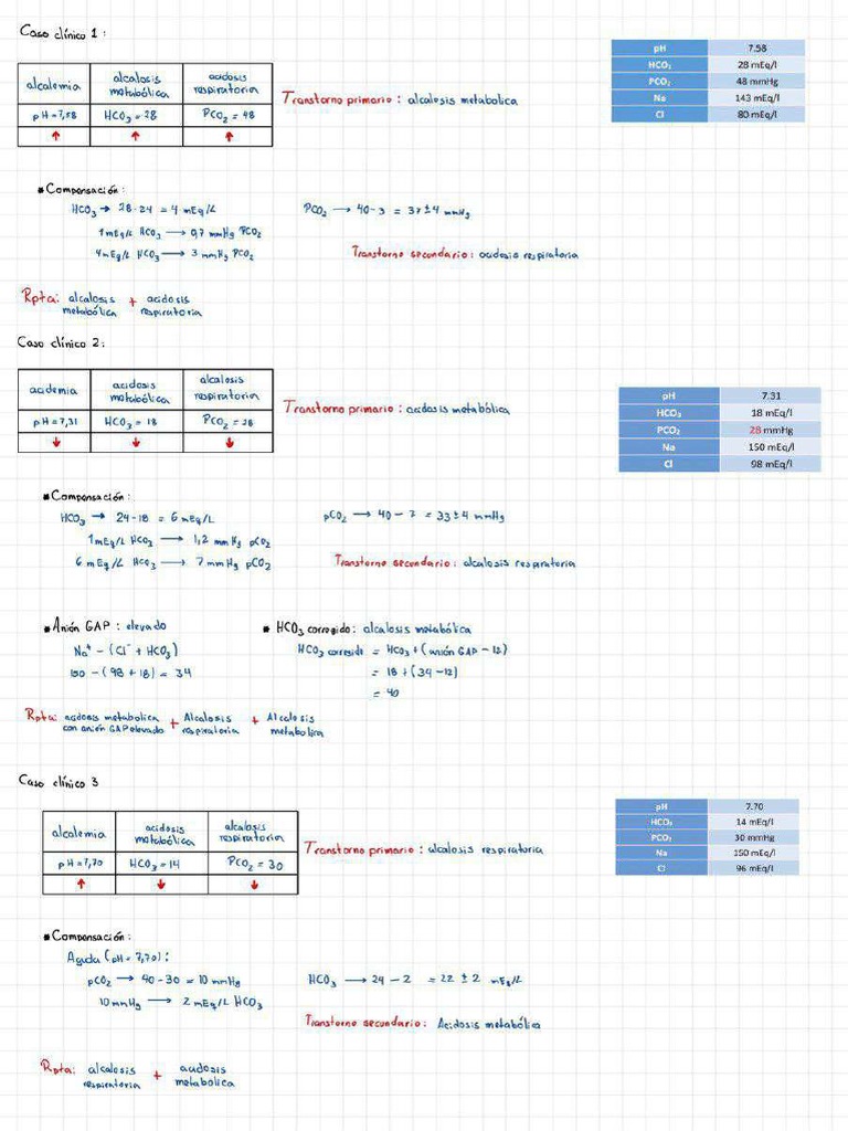 Interpretación de Gases Arteriales 1 | PDF